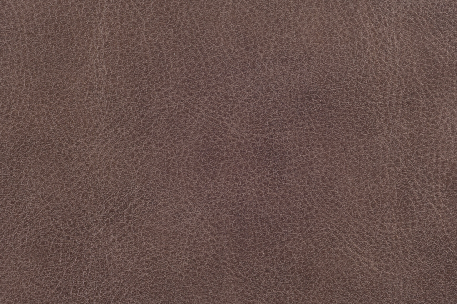 Gramercy Plumwood (A)