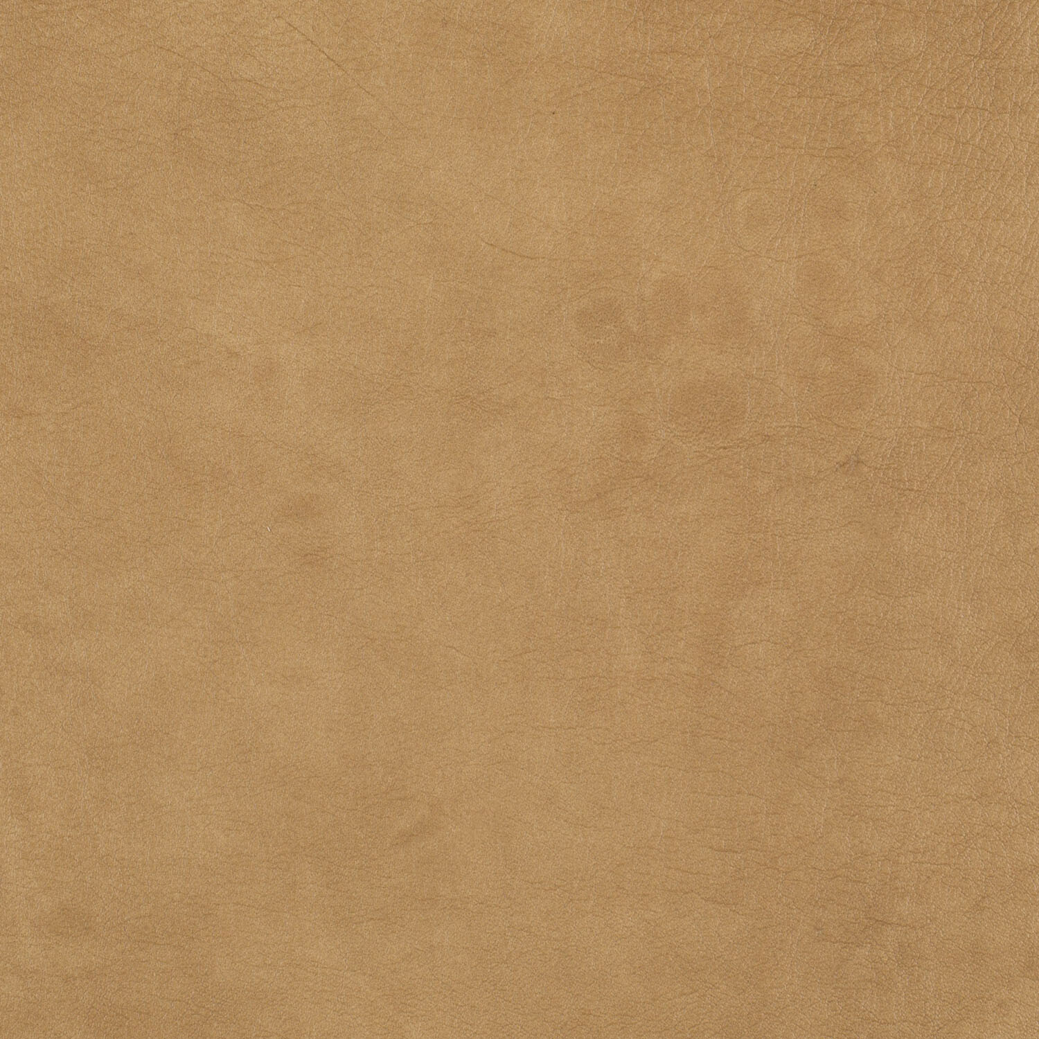 Terra Wheat (AP) PERFORMANCE LEATHER